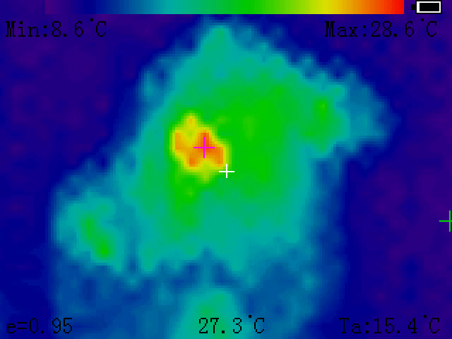 Thermal camera - Raspberry Pi Forums